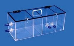 Anesthesia Induction Chamber (Large) - apexx Veterinary Equipment